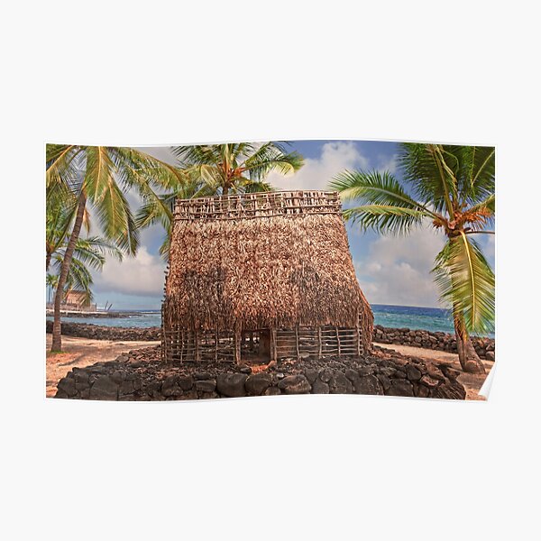 "Hawaiian Hale" Poster for Sale by alex4444 | Redbubble