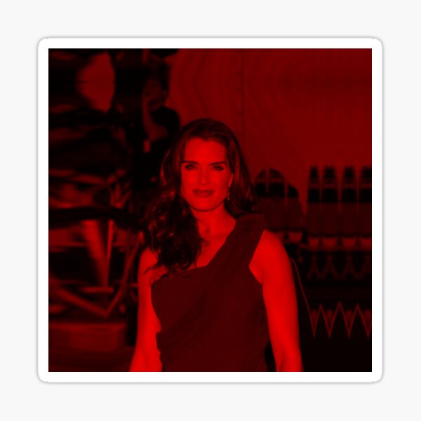 "Brooke Shields - Celebrity" Sticker for Sale by Powerofwordss | Redbubble