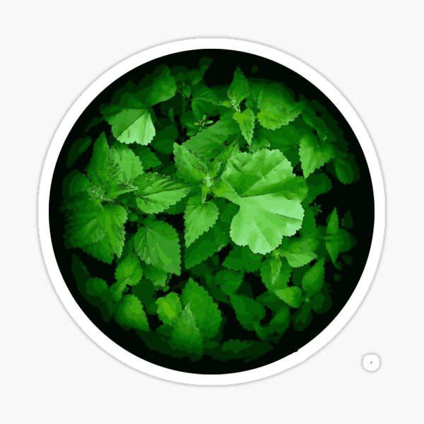 "Circle of nettles and mallows." Sticker for Sale by Agnus7 | Redbubble