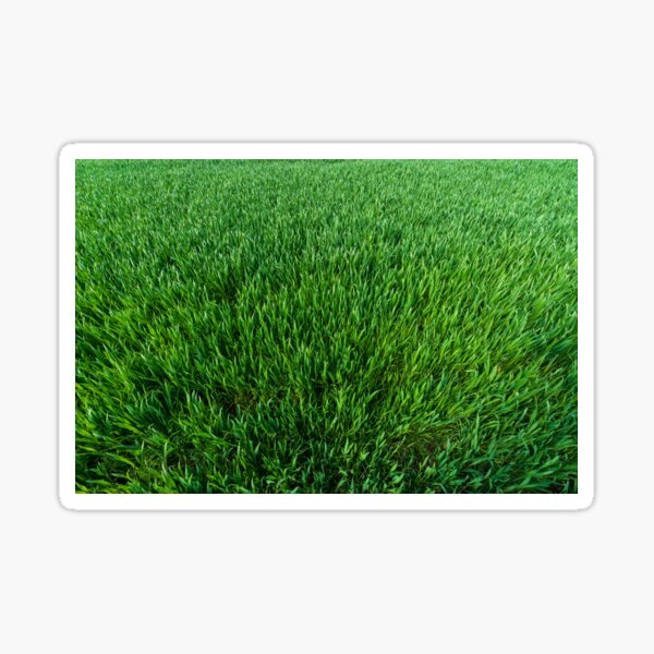 "grass" Sticker for Sale by Lexpixelart | Redbubble