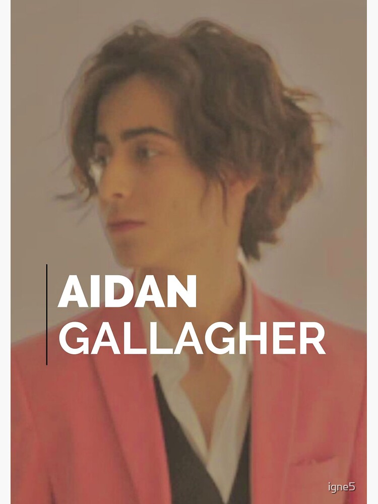 "Aidan Gallagher" Sticker for Sale by igne5 | Redbubble