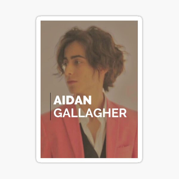"Aidan Gallagher" Sticker for Sale by igne5 | Redbubble