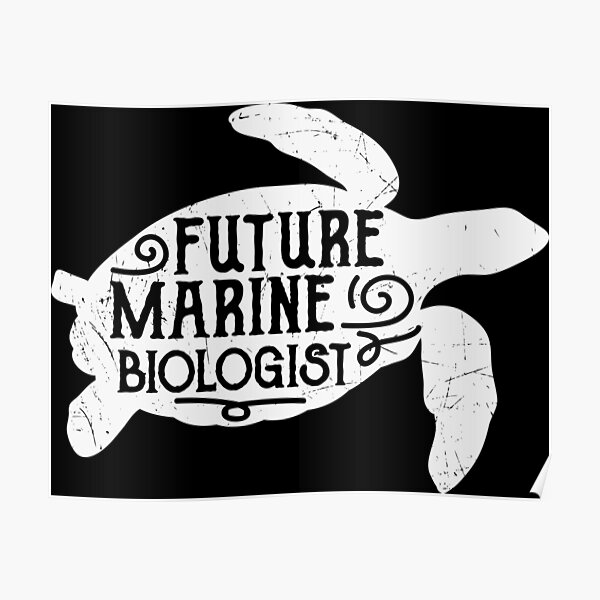 Póster «Futuro biólogo marino, ilustración de tortugas marinas» de ...