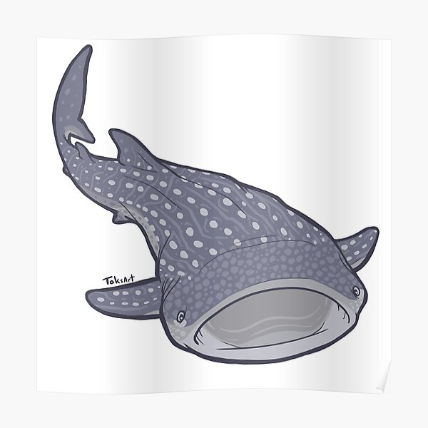 "Whale Shark Gulp Gulp" Poster for Sale by TakMouse | Redbubble