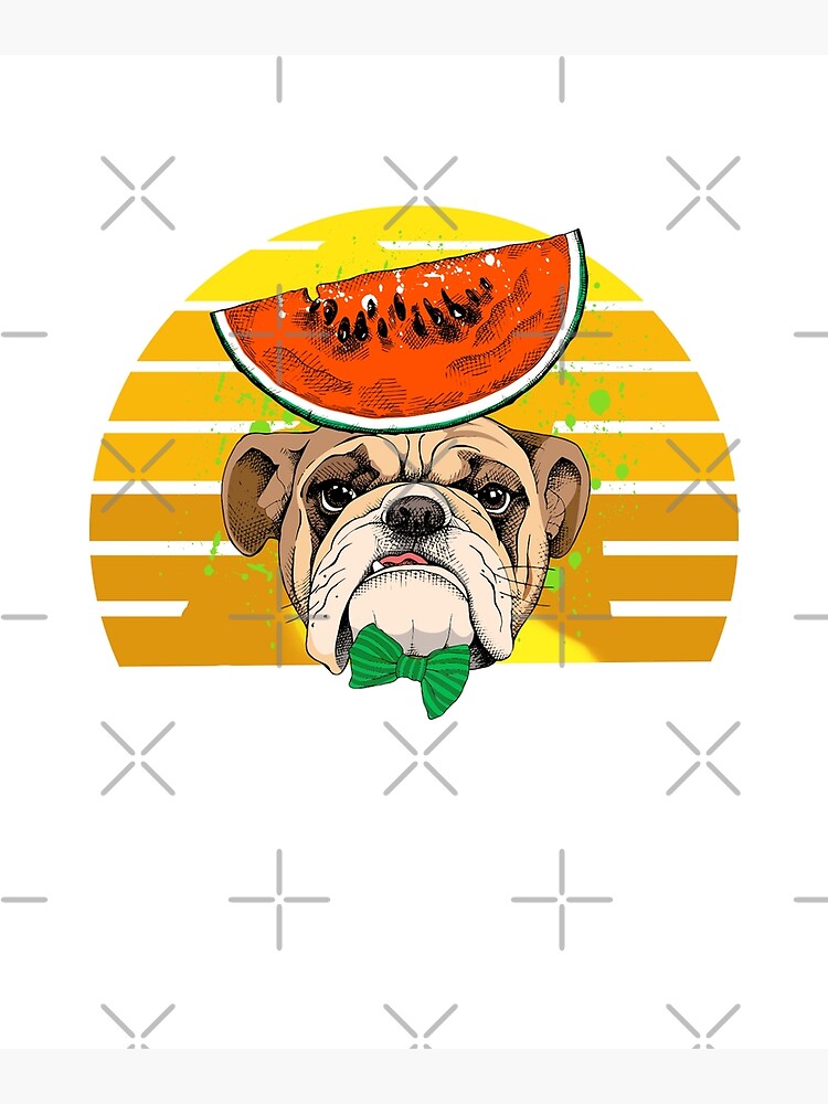 "Watermelon on dog, Pug Pet, Pug watermelon, mammal, carnivoran" Poster ...
