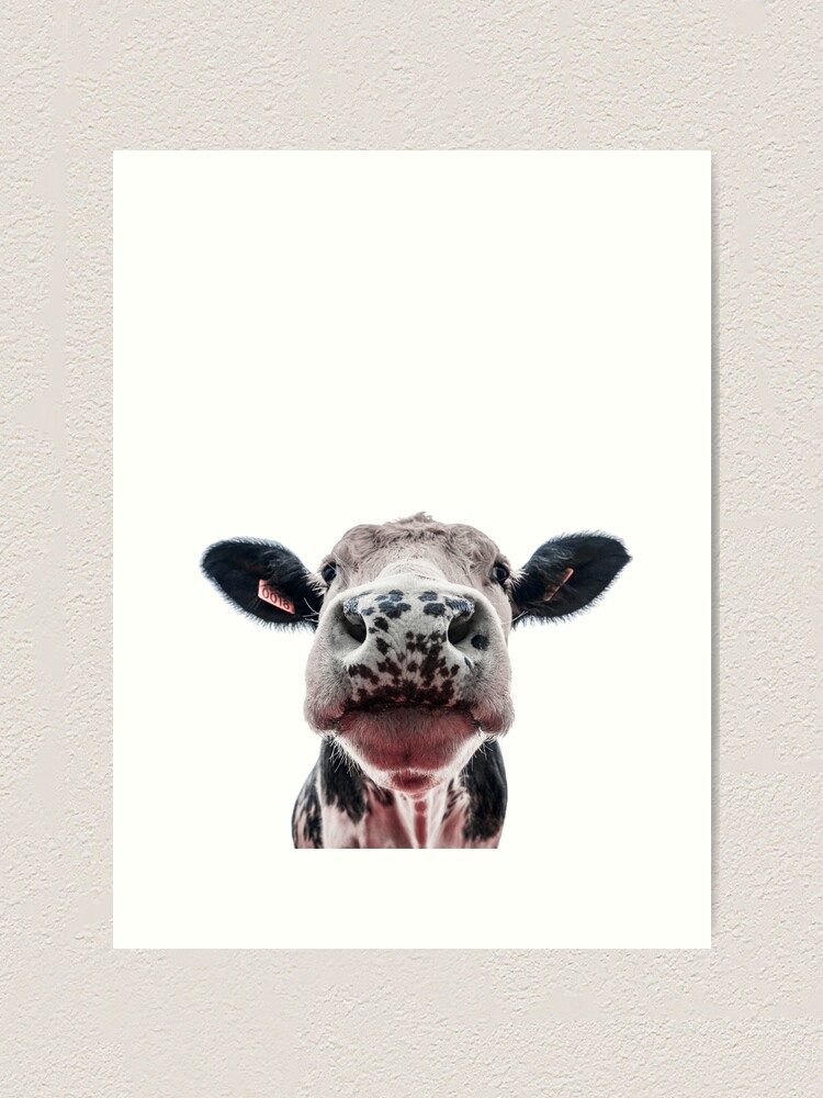 "Funny Cow" Art Print for Sale by LiToDesignCo | Redbubble