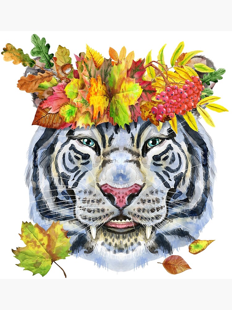 Lámina fotográfica «Tigre sonriente blanco colorido en una corona de ...