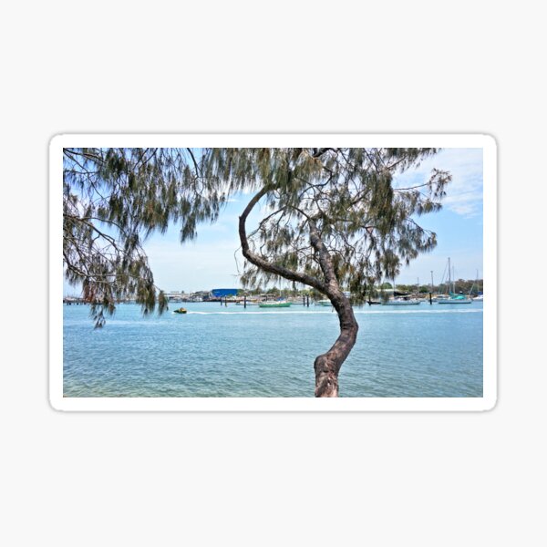 "View From The River Bank" Sticker for Sale by sagram45 | Redbubble