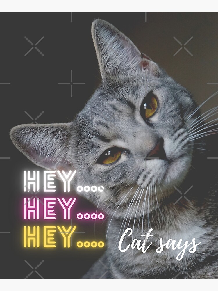 Poster « Le chat dit hey (Drôle amour de chat) », par Paint84 | Redbubble