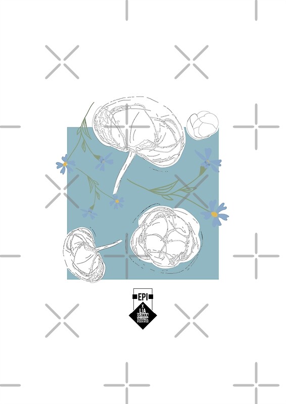 "White Trollius" by EPIdesign | Redbubble