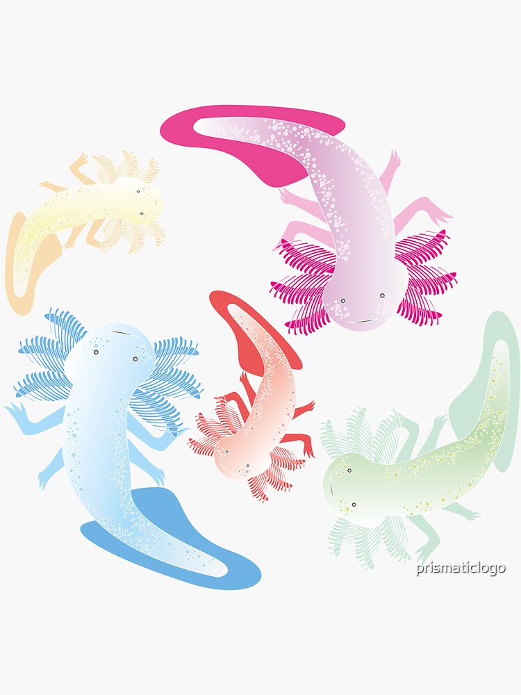 "rainbow axolotl design" Sticker by prismaticlogo | Redbubble