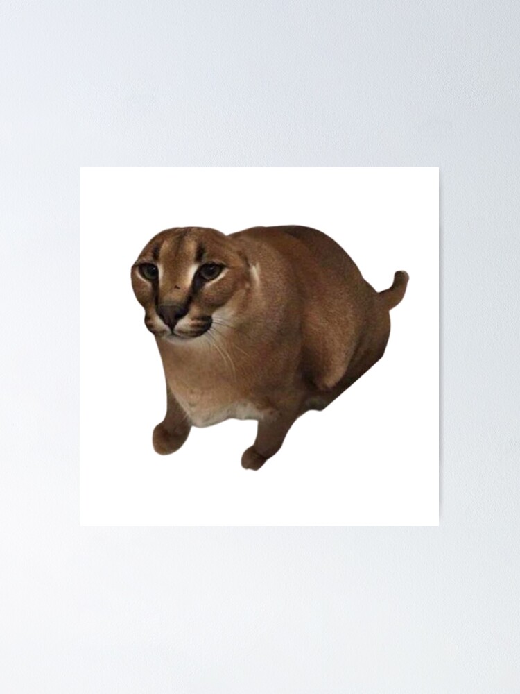 "Floppa no ears" Poster for Sale by MemeDealer3 | Redbubble