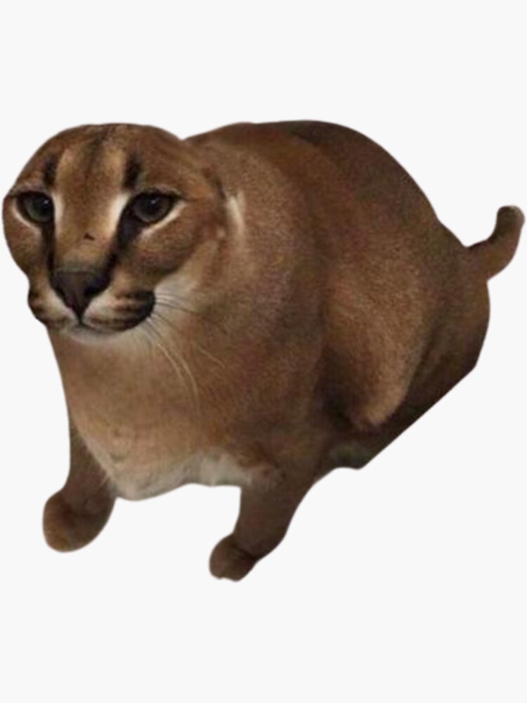 "Floppa no ears" Sticker by MemeDealer3 | Redbubble