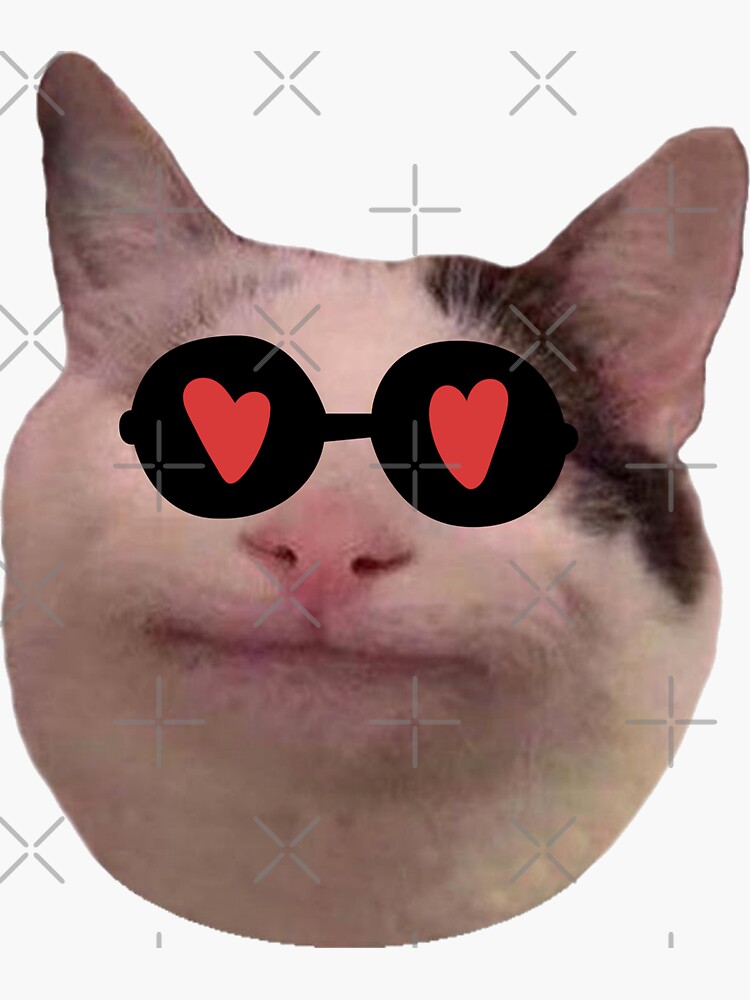 "Beluga Cat Lover" Sticker by mo91 | Redbubble