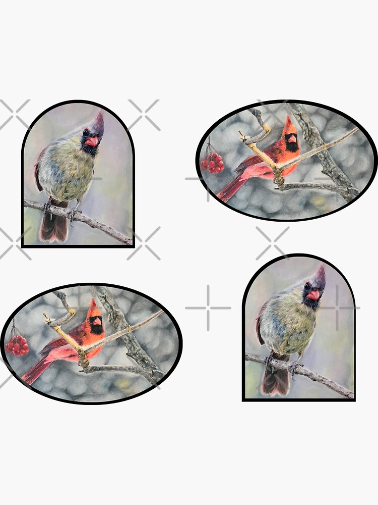 "Male and female cardinal | cardinal bird stickers pack" Sticker for ...