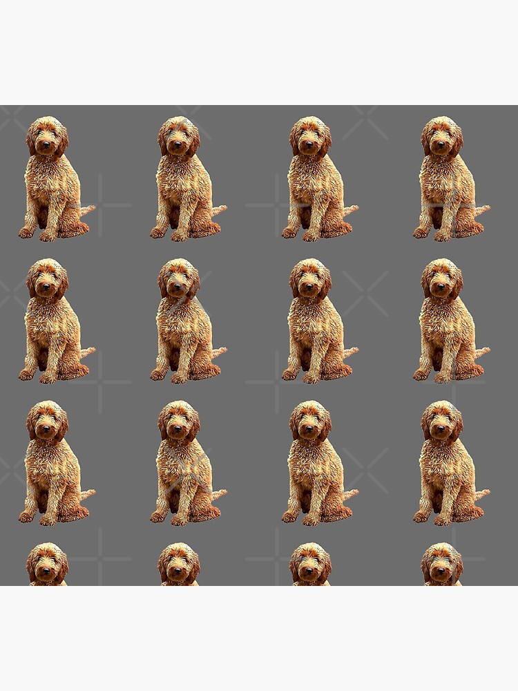 "Goldendoodle Golden Doodle Dog " Socks by Elarex | Redbubble