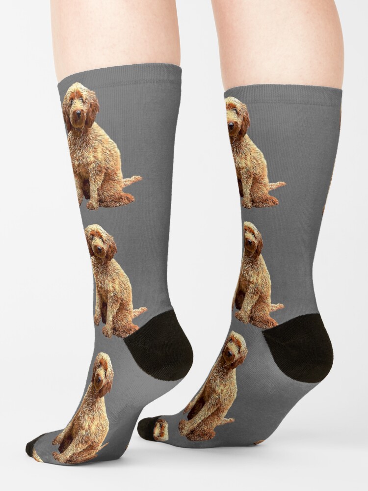 "Goldendoodle Golden Doodle Dog " Socks by Elarex | Redbubble