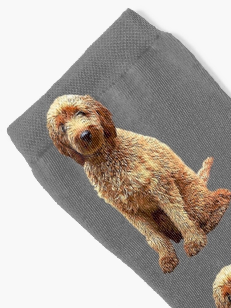 "Goldendoodle Golden Doodle Dog " Socks by Elarex | Redbubble