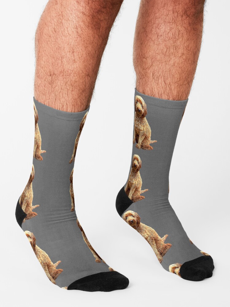 "Goldendoodle Golden Doodle Dog " Socks by Elarex | Redbubble