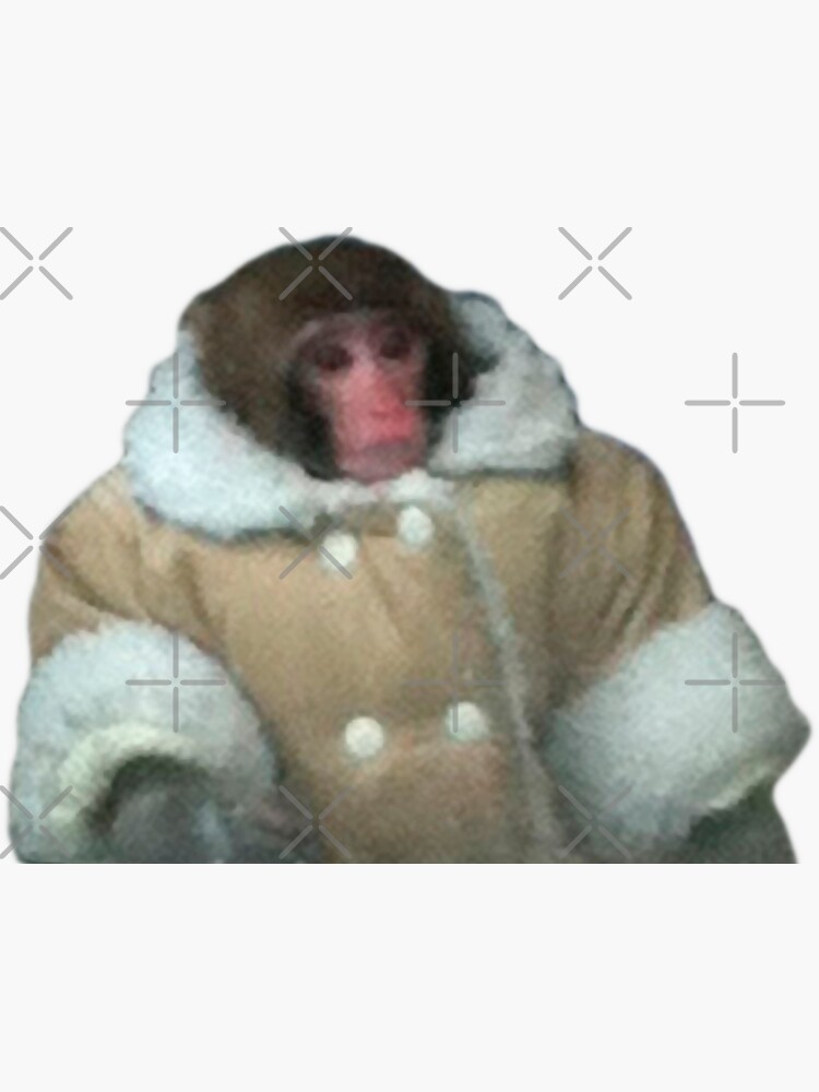 "Monkey meme" Sticker for Sale by Samsar | Redbubble