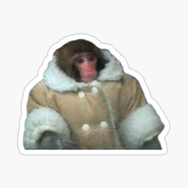 "Monkey meme" Sticker for Sale by Samsar | Redbubble
