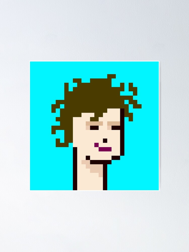 "messy hair crypto punk" Poster for Sale by therosona | Redbubble
