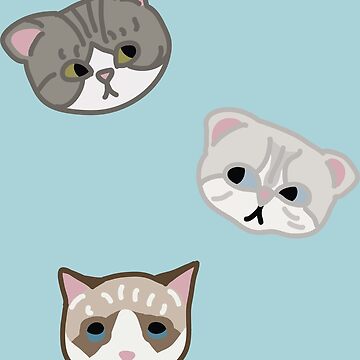 "Taylor Swift Stickers Cats #2" Sticker for Sale by 13-swiftie | Redbubble