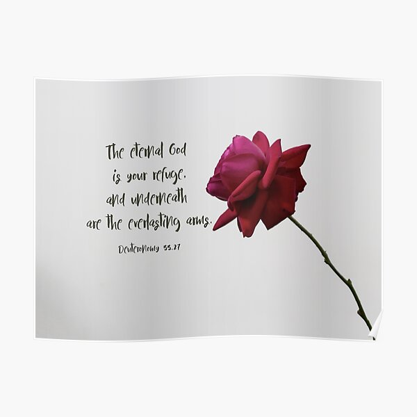 "Gorgeous rose in bloom with Bible verse" Poster for Sale by amor ...