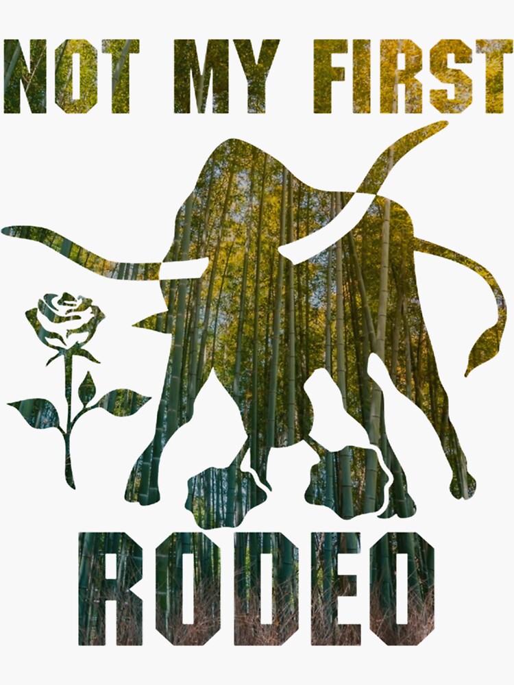 "not my first rodeo - AWESOME Cowboy, funny, rodeos, bull riding, horse ...
