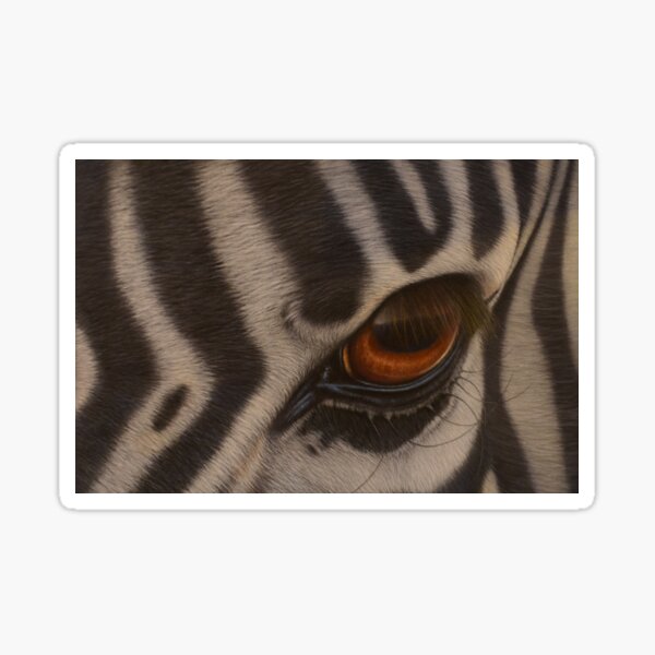 "Zebra " Sticker by debswildart | Redbubble
