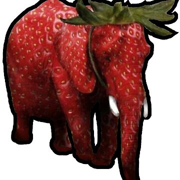 "Strawberry Elephant" Sticker for Sale by ARandomIntern | Redbubble