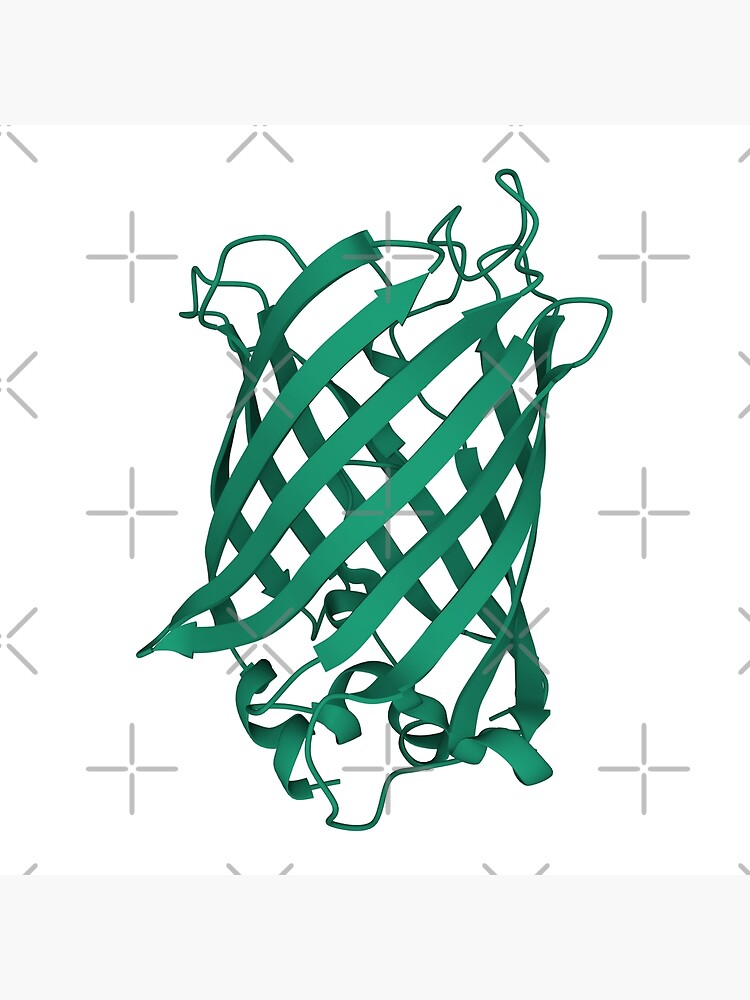 "GFP Green fluorescent protein" Poster for Sale by labstud | Redbubble
