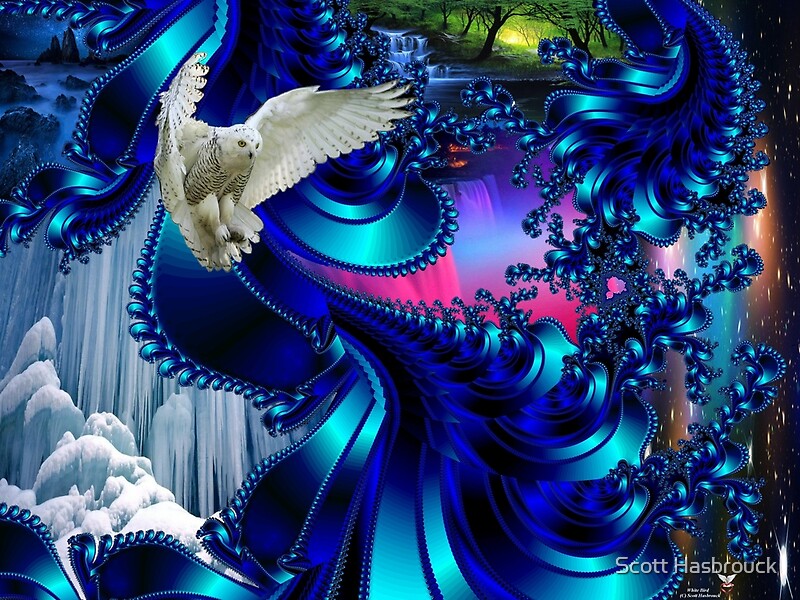 "White Bird" by Scott Hasbrouck | Redbubble