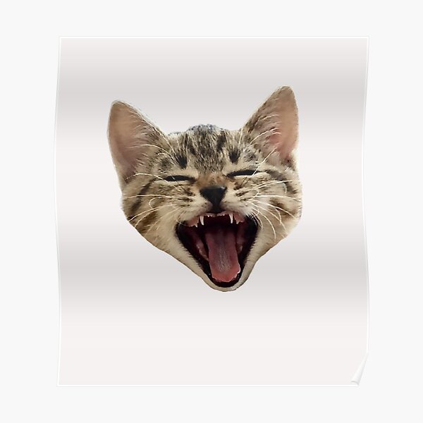 Póster «lindo gatito riendo bostezando, gato meme» de selflovetings ...