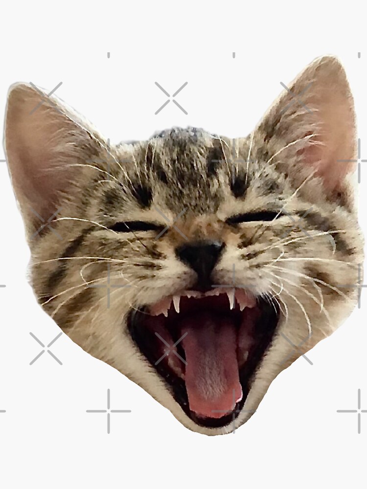 Pegatina «lindo gatito riendo bostezando, gato meme» de selflovetings ...
