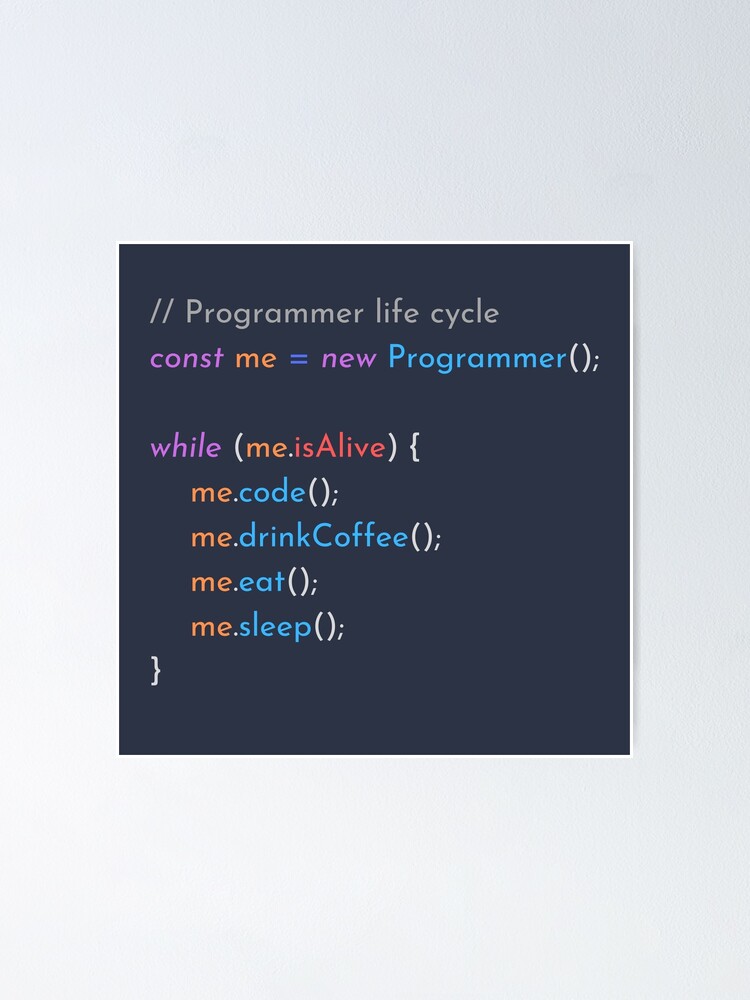 "Programmer Life cycle" Poster by 9n1design | Redbubble