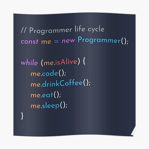 "Programmer Life cycle" Poster by 9n1design | Redbubble
