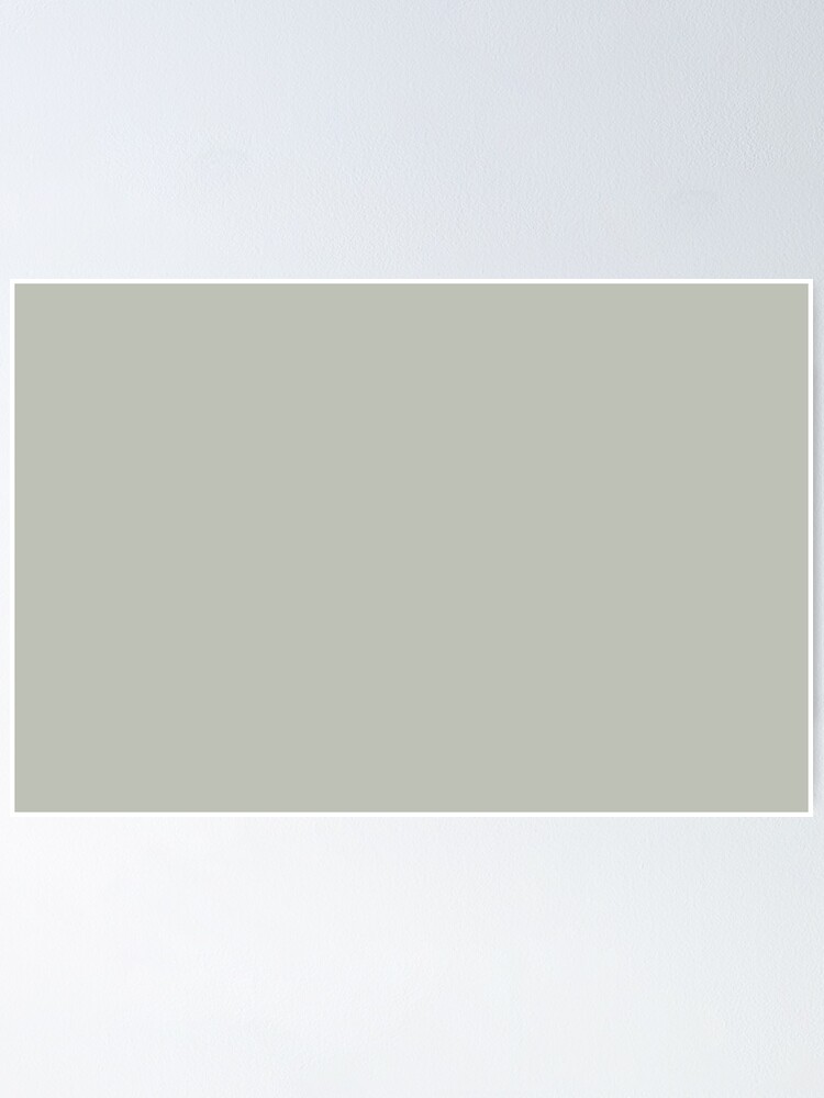 "Smoked Sage Green Solid Color Pratt and Lambert 2022 Color of the Year ...