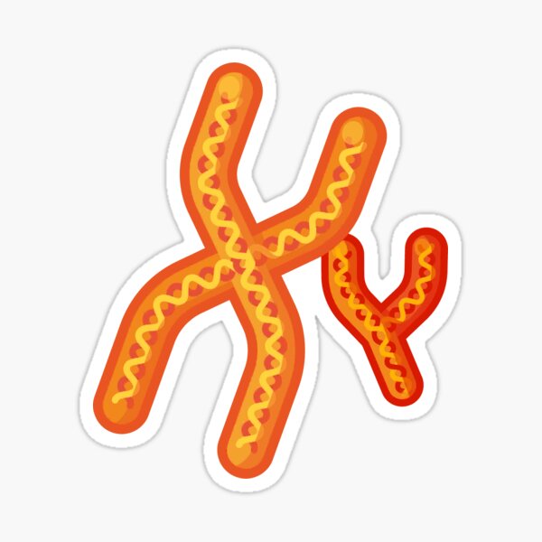 "Chromosomes" Sticker by blipskr | Redbubble