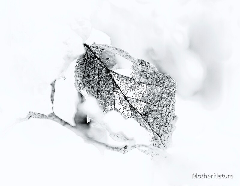 "Black and White Winter Leaf Filigree" by MotherNature | Redbubble