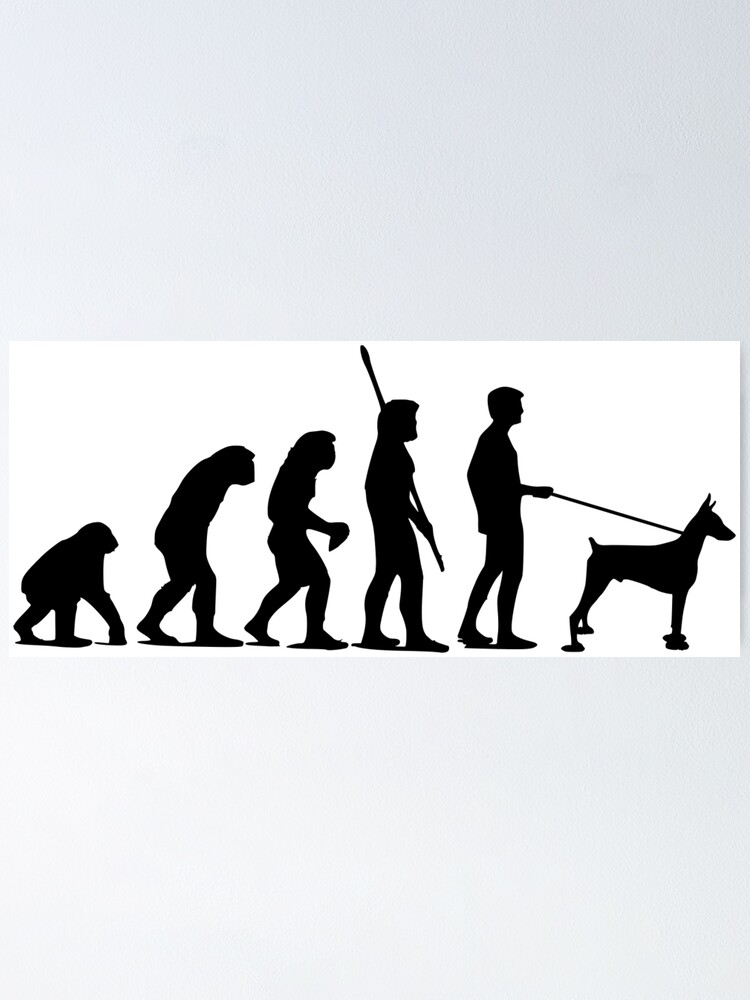 "Evolution of man" Poster by Amisdelamer | Redbubble