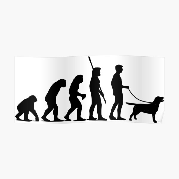 "Evolution of man" Poster by Amisdelamer | Redbubble