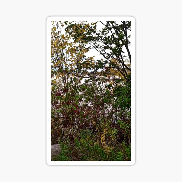 "trees and bushes" Sticker for Sale by CellArts | Redbubble
