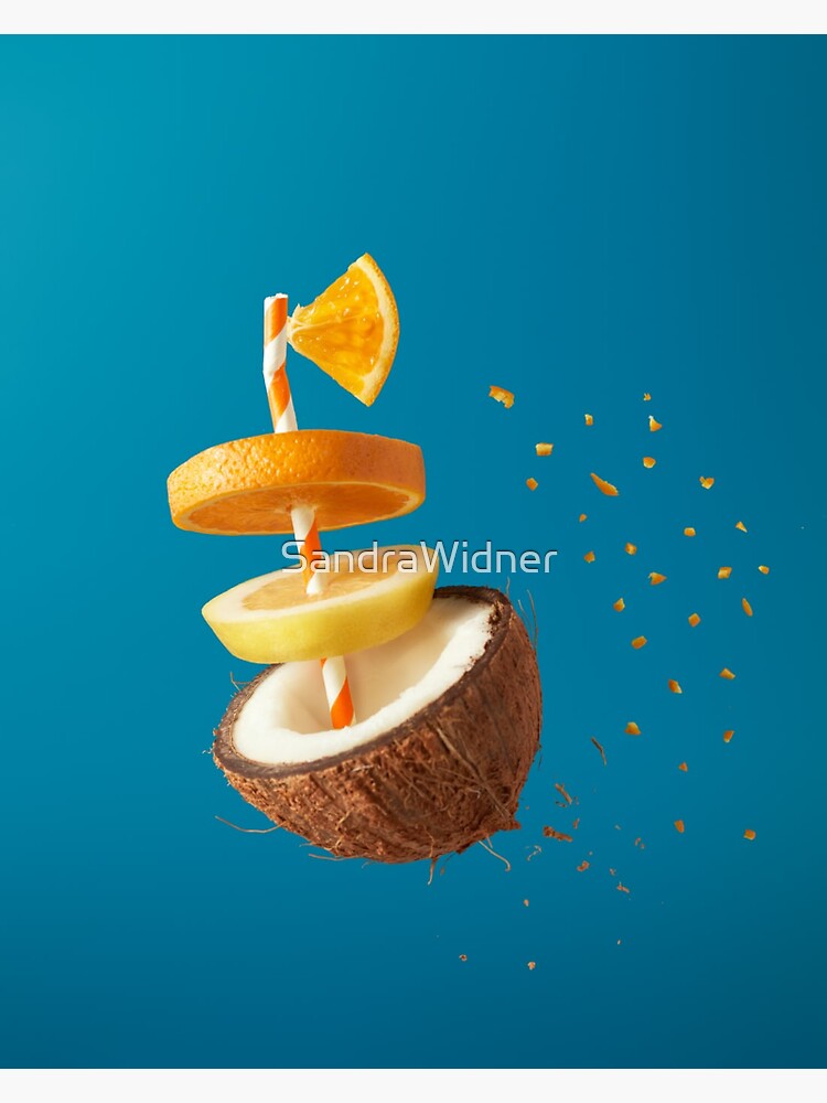 "Coconut Carousel" Sticker for Sale by SandraWidner | Redbubble