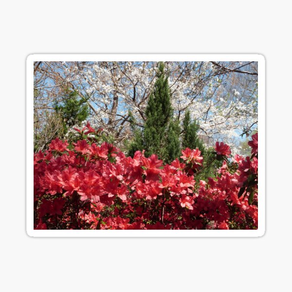 "Azalea Trail " Sticker for Sale by VarietyYOU | Redbubble