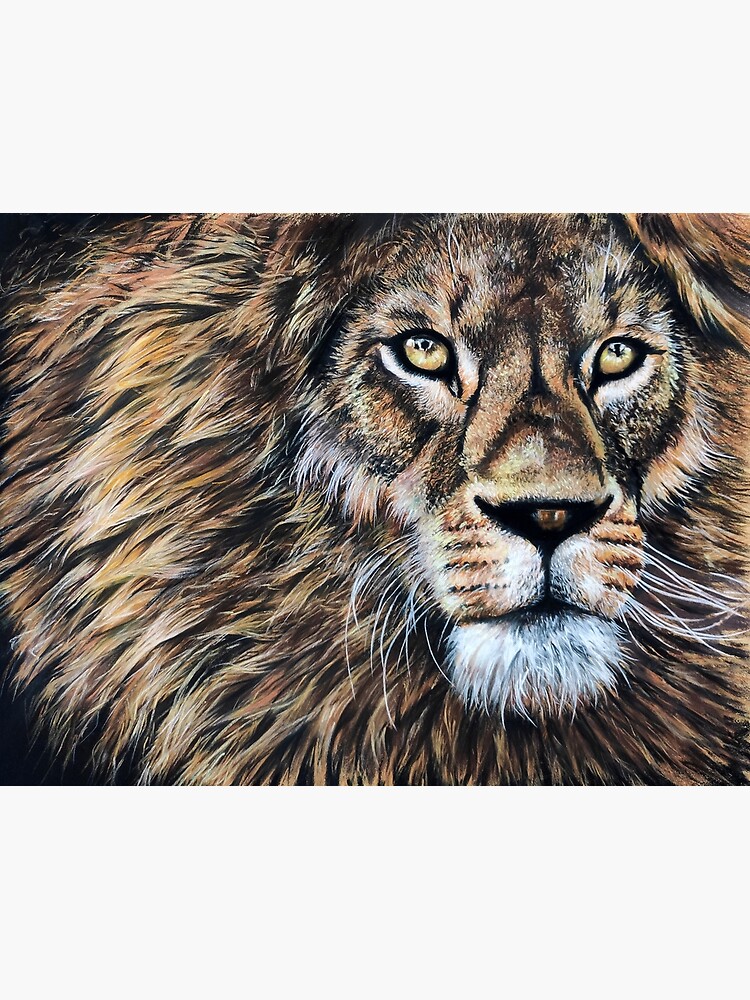 "lion. color drawing of a lion" Poster by usertakuser | Redbubble