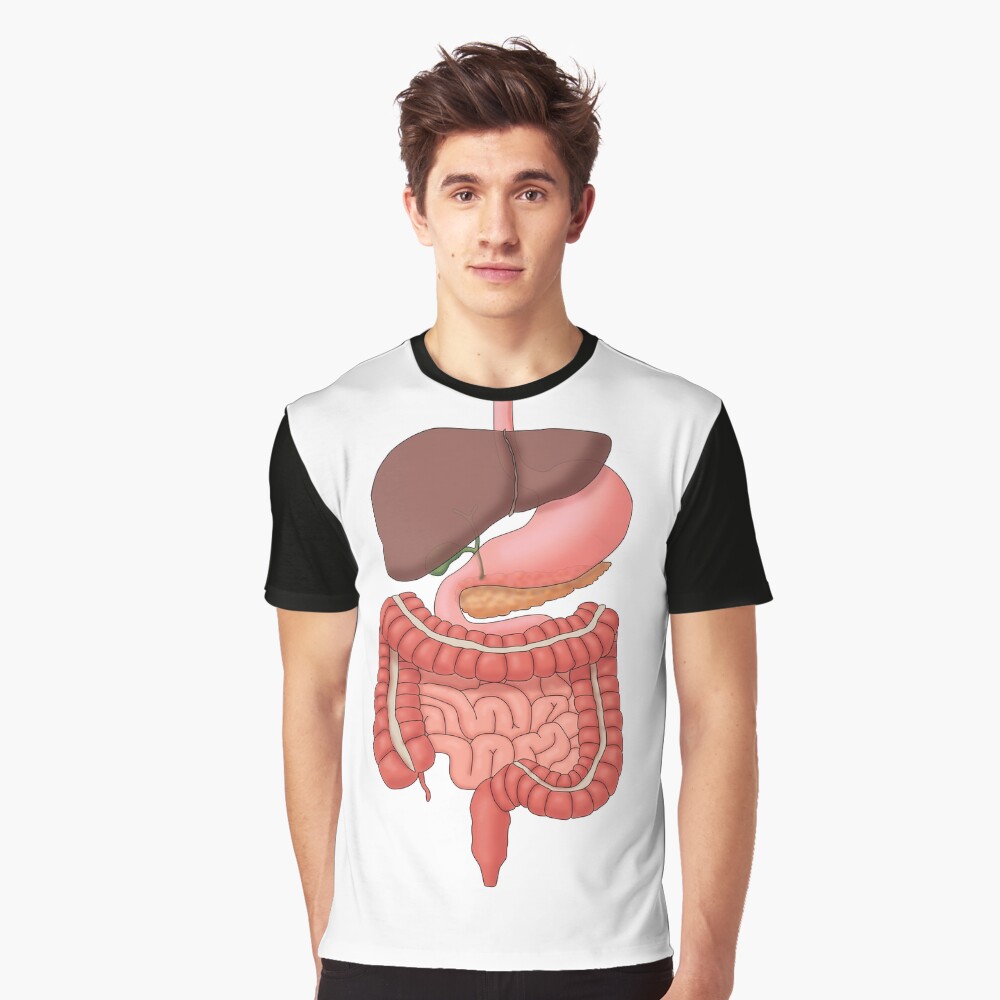 "Digestive System Organs, Medical Illustration" Sticker for Sale by ...