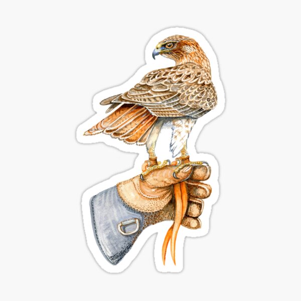 "Red Tailed hawk on glove " Sticker for Sale by Fozzyartsales | Redbubble