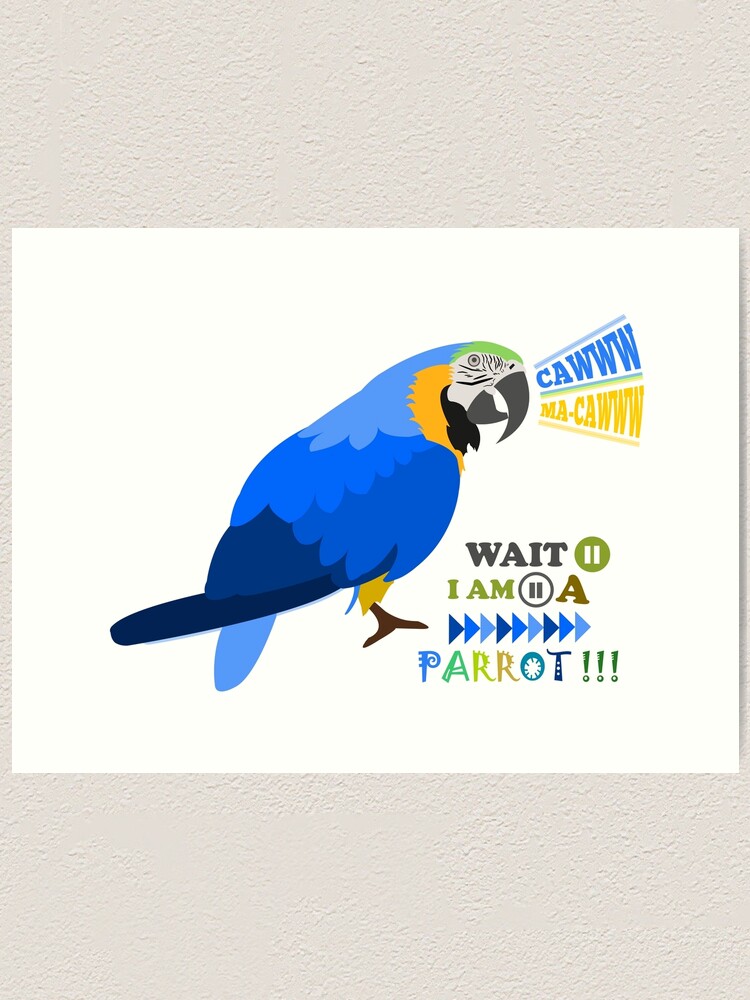 "Wait I am a Parrot | Funny Macaw Meme | Colorful Macaw Parrot ...