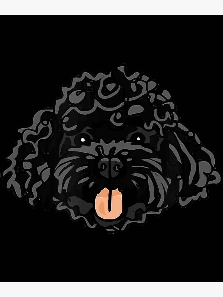 "Cute Black Labradoodle Cockapoo" Poster for Sale by Bradleynetshop ...